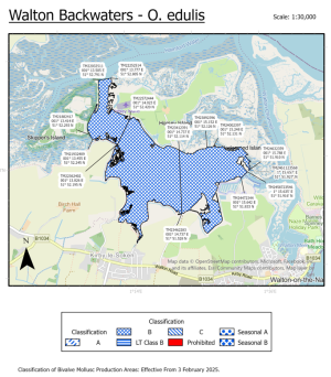 Update on shellfish layings in the Walton Backwaters | Page 3 | YBW Forum